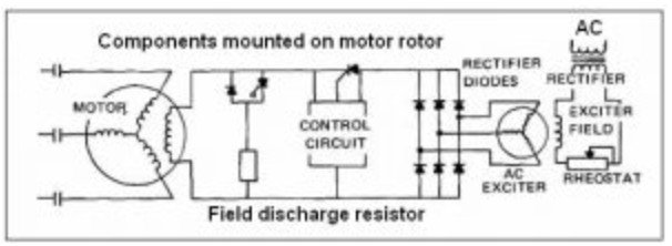 All about AC motors – PLCGOODS Automation